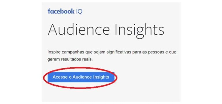 Audience Insights: encontre o público ideal para suas campanhas