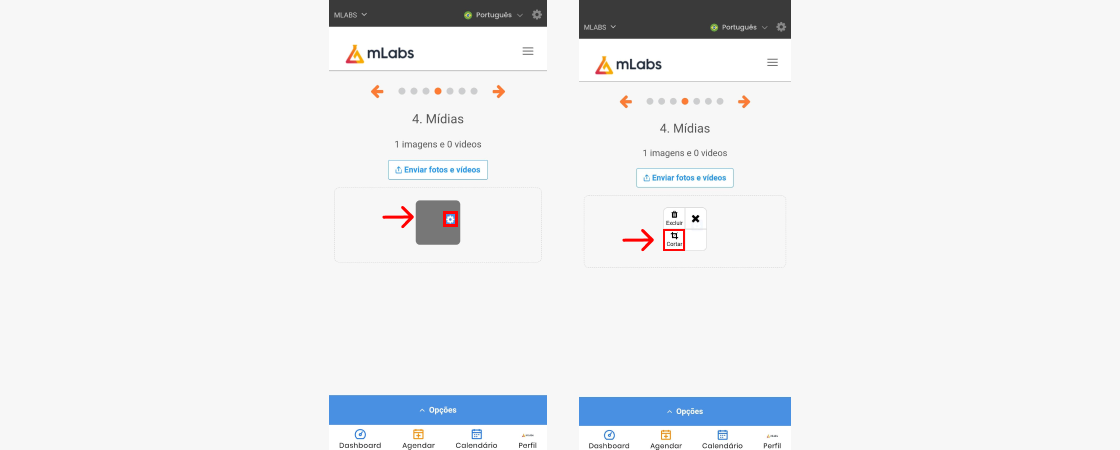 mLabs app: veja como usar o aplicativo móvel da mLabs!