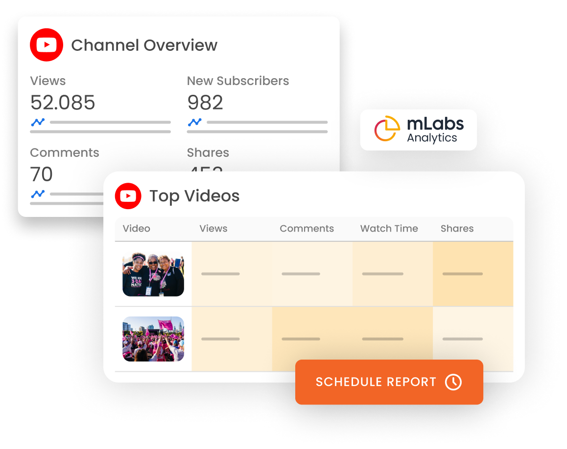 YouTube Manager: Schedule Videos and More – mLabs